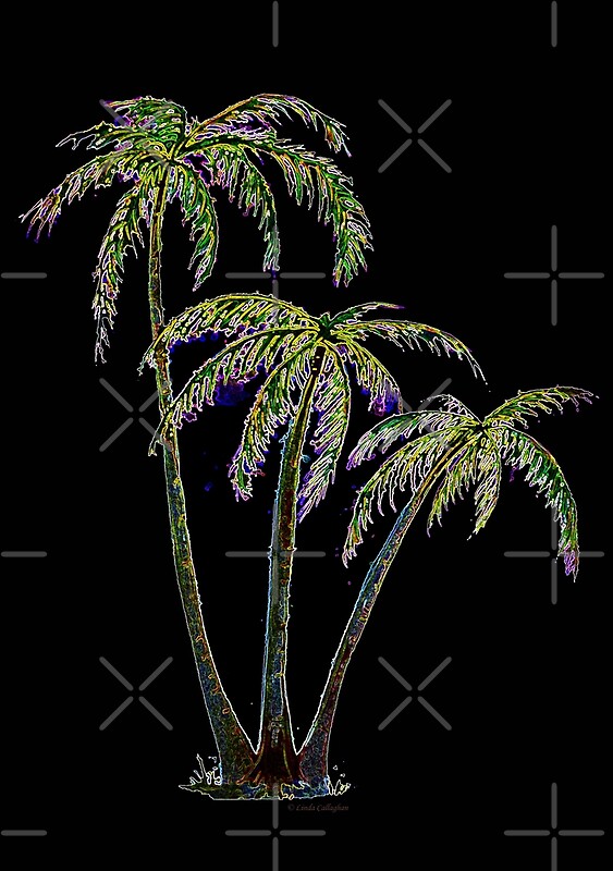 "Rainbow Palm Trees" by Linda Callaghan | Redbubble