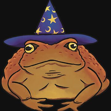 "Toad in a Wizard hat " Art Board Print for Sale by redlanternst32 ...