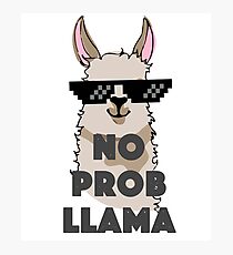No Problama: Wandbilder | Redbubble