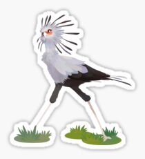 Bird Stickers | Redbubble