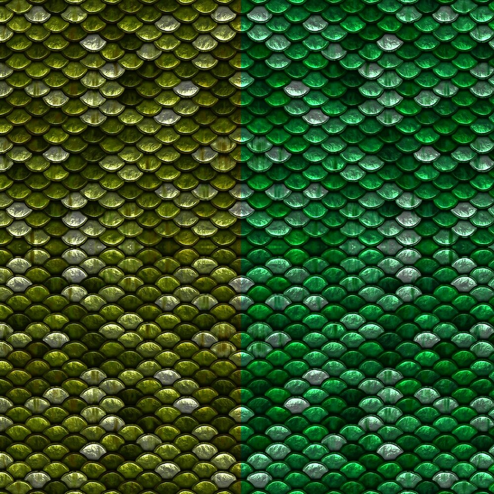 "Scale pattern" by hcarts | Redbubble