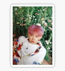Chanyeol Stickers | Redbubble