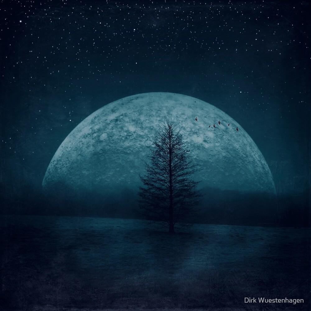 "Moon Twilight" by Dirk Wuestenhagen | Redbubble