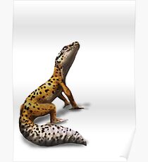 Leopard Gecko Posters | Redbubble