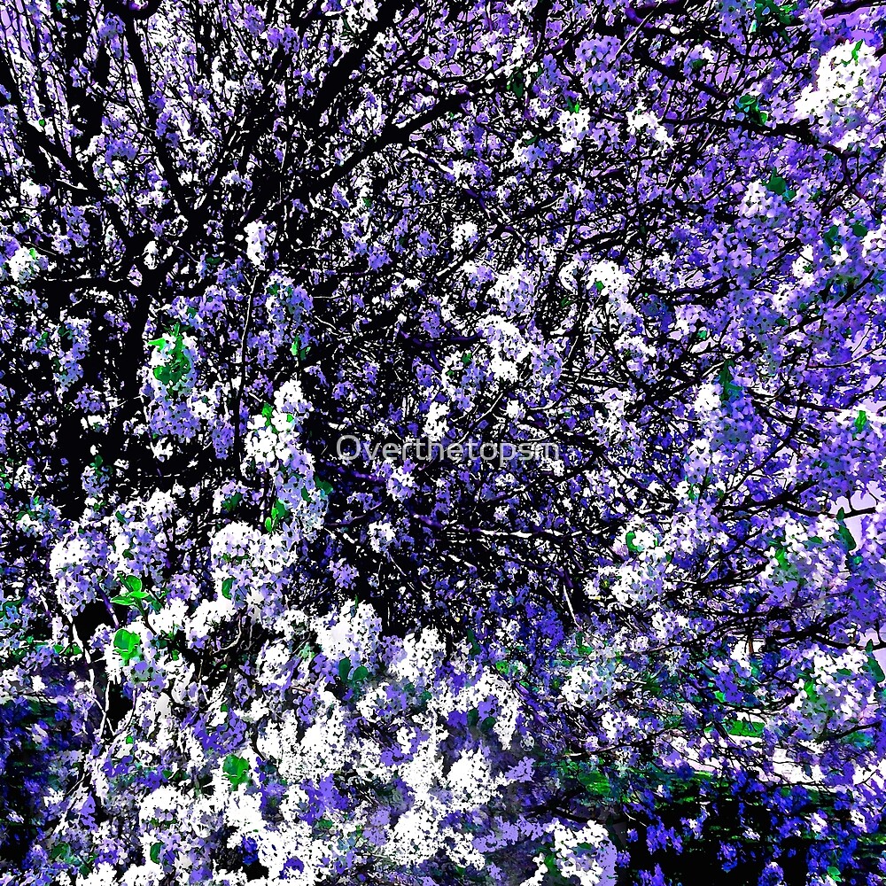 "Crepe Myrtle Tree Flower Purple Lilac and Blue" by Saundra Myles ...