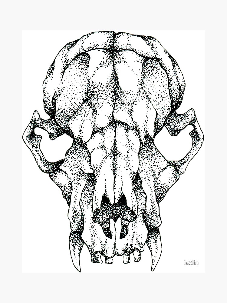 "Rat skull drawing (30 000 dots)" Sticker by isxlin | Redbubble