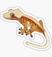 Crested Gecko: Stickers | Redbubble