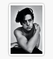 Soft Grunge: Stickers | Redbubble