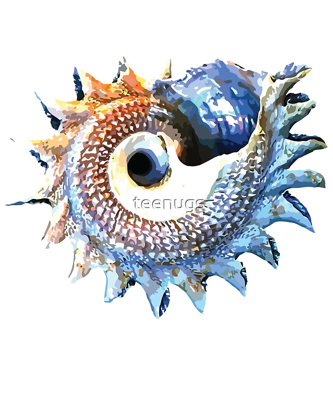 "Conch Shell Pearl Golden Ratio Spiral Fibonacci" by teenugs | Redbubble