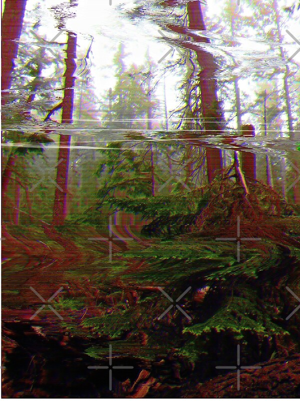 "VHS Forest" by Nothen | Redbubble