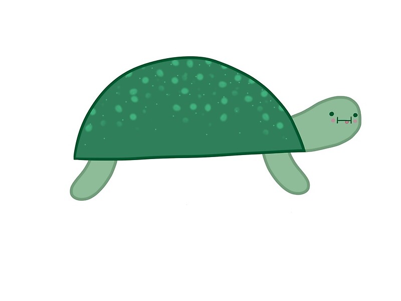 "Derpy Turtle" by Pastellamas | Redbubble