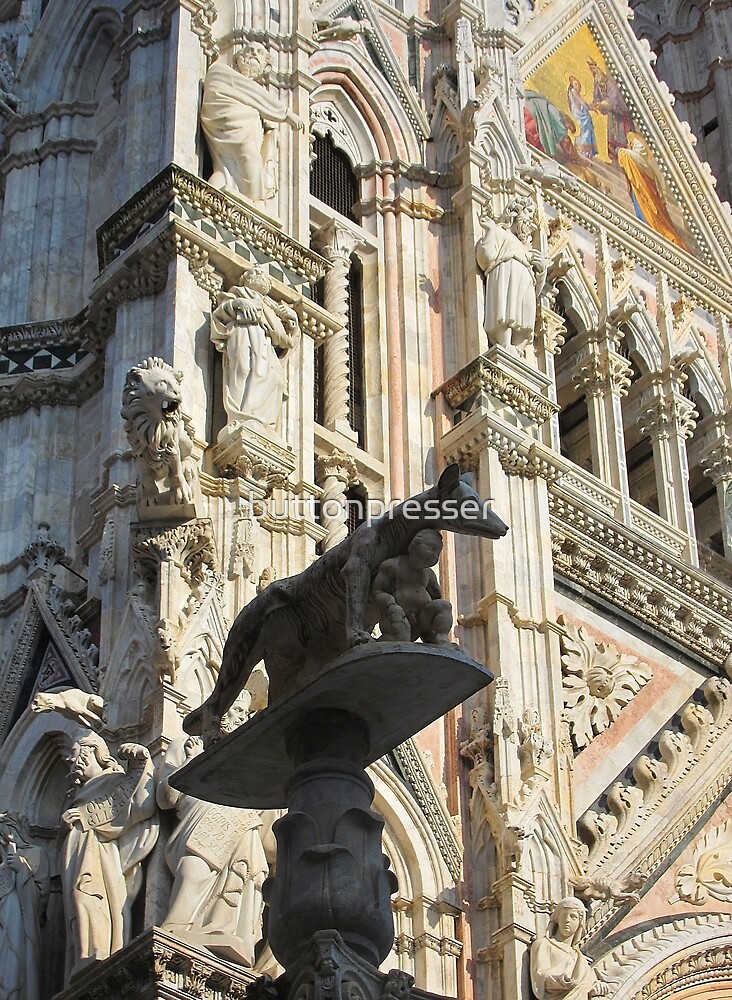 "She wolf statue, Siena Cathedral, Siena, Italy" by David Carton ...