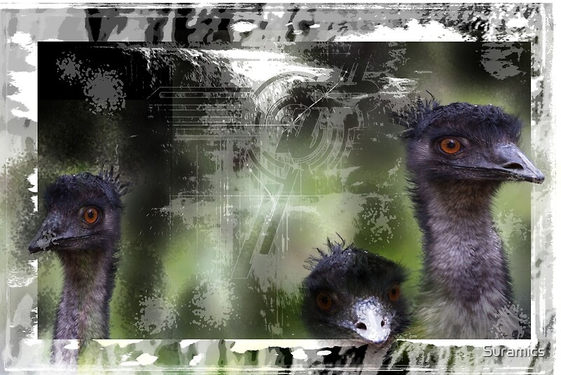 "Emu fun" Posters by Suramics | Redbubble