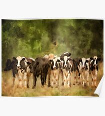 Jersey Cow: Posters | Redbubble