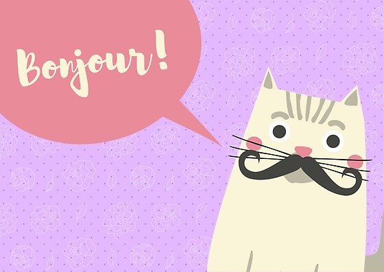 "Bonjour Cat" by angcreations | Redbubble