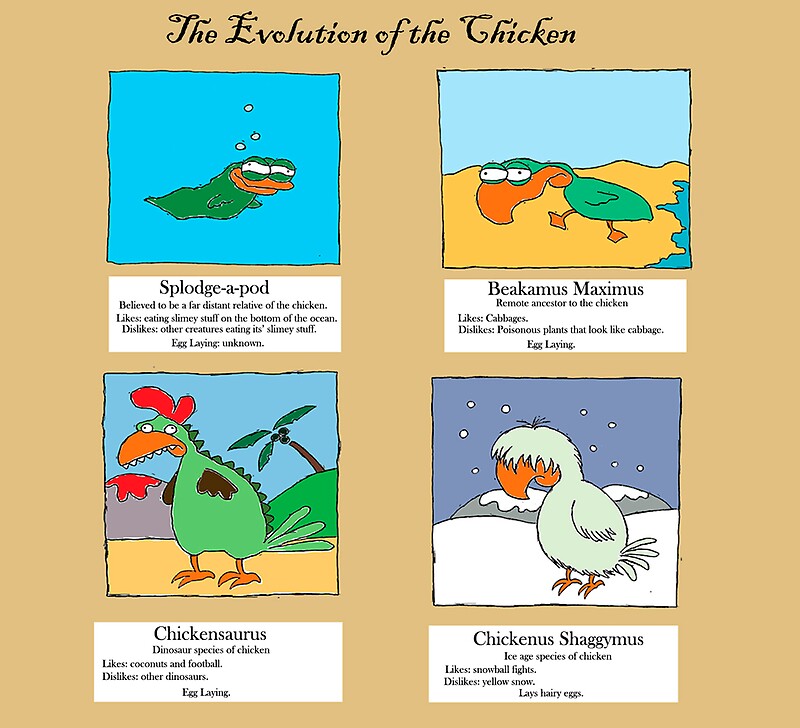 "Evolution of the chicken" by robotpower | Redbubble