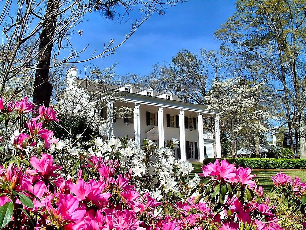 "Springtime In Alabama" by RickDavis | Redbubble