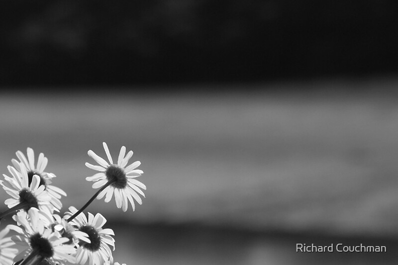 Along Daisy Creek "" by Richard Couchman | Redbubble
