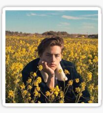 Cole Sprouse Stickers | Redbubble