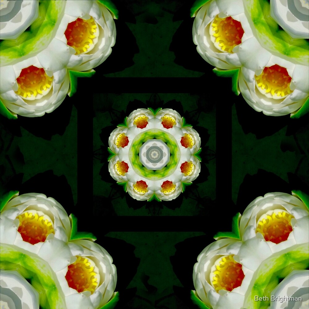 "Water Lily Kali" by Beth Brightman | Redbubble