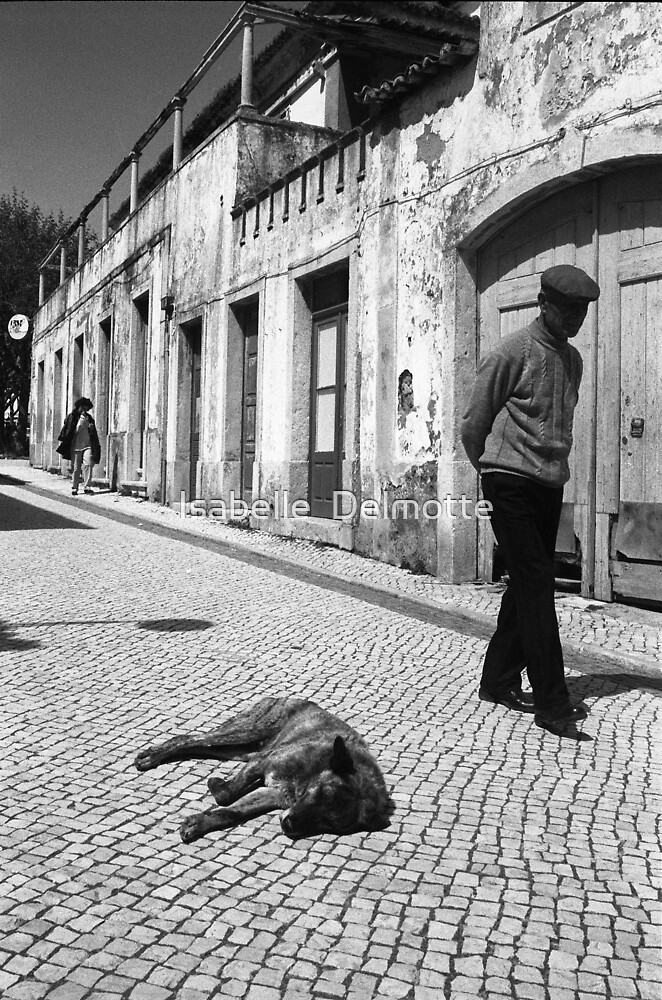 "Midday Siesta in Portugal" by Isabelle Delmotte | Redbubble