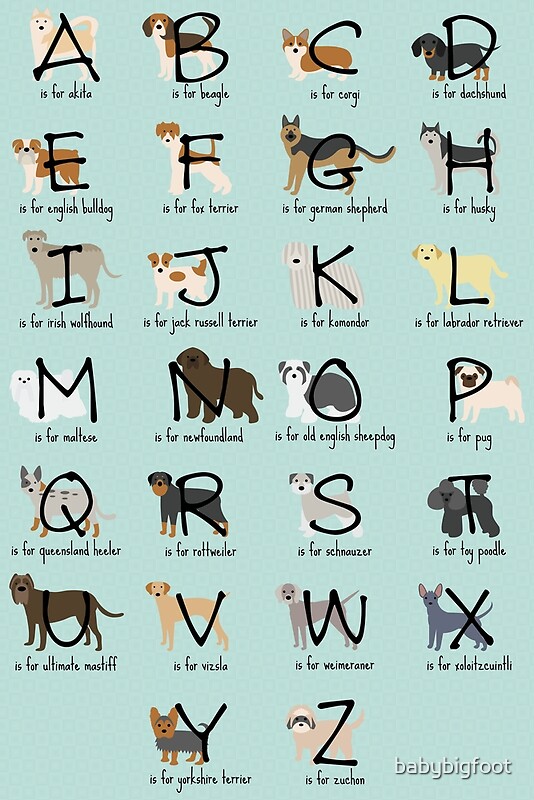 "Dog Alphabet" by babybigfoot | Redbubble