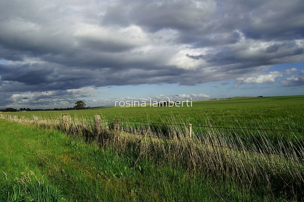 "Diggers road, Bulla.Victoria" by rosina lamberti | Redbubble