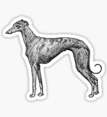 Greyhound Stickers | Redbubble