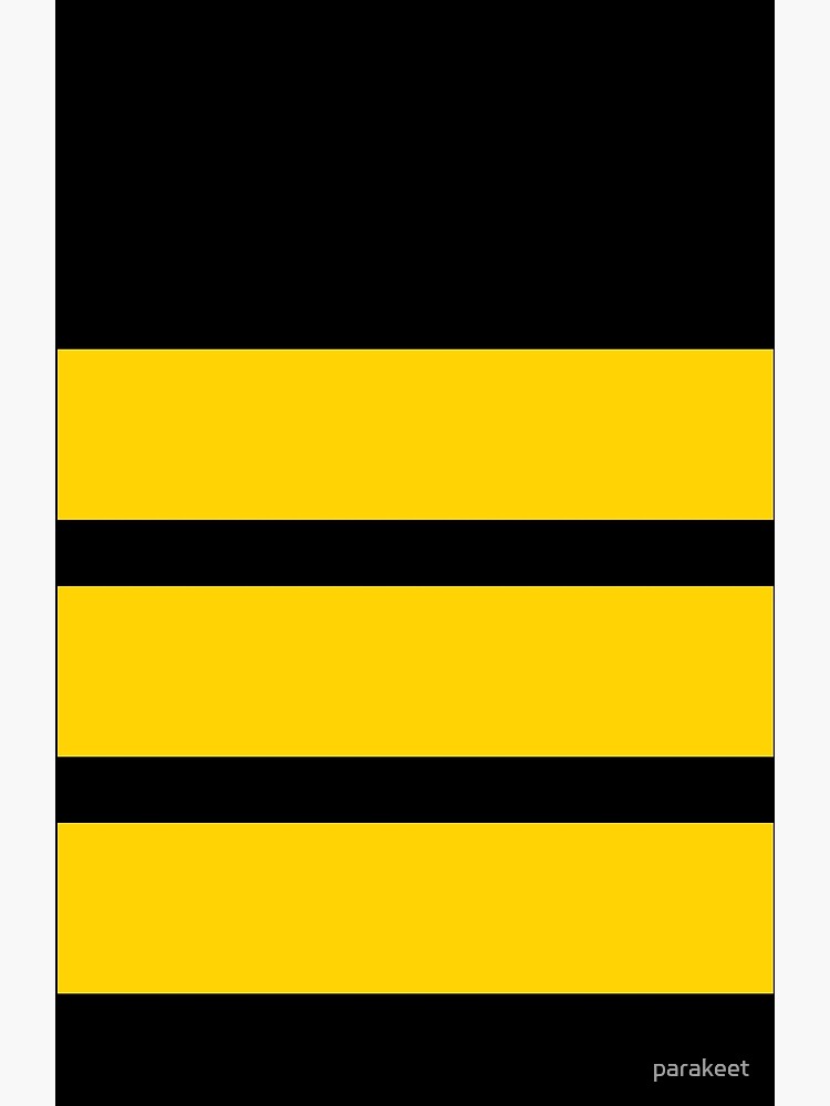 "Pilot First Officer Stripes" Poster by parakeet | Redbubble