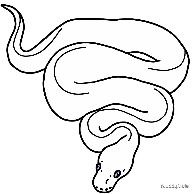 "Blue Leucistic Ball Python" by MuddyMule | Redbubble