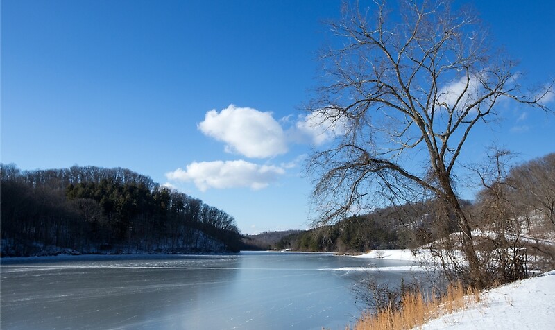 "Dow Lake in Winter" by Lynn Gedeon | Redbubble