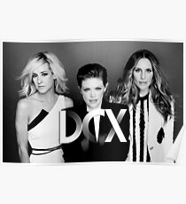 Dixie Chicks: Posters | Redbubble