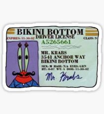Spongebob Squarepants Drivers License Gifts & Merchandise | Redbubble