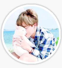 Jimin: Stickers | Redbubble