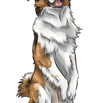 "English Shepherd | Sable and White | Cute Dog Art" Sticker for Sale by ...