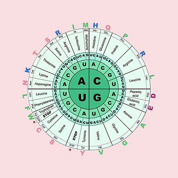 "Genetic Codon Wheel - Mint Green" Sticker for Sale by littlebrownpoet ...