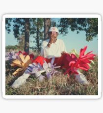 Tyler the Creator: Stickers | Redbubble