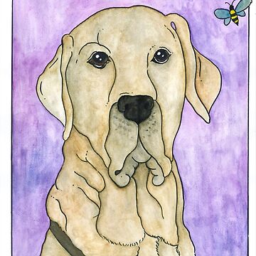 "Grey Labrador Portrait" Poster for Sale by Blue Tangerine By Piper ...