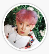 Chanyeol Stickers | Redbubble