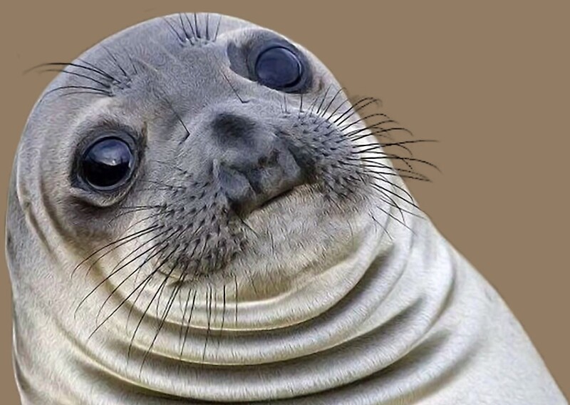 "Uncomfortable Situation Seal" by livememe | Redbubble