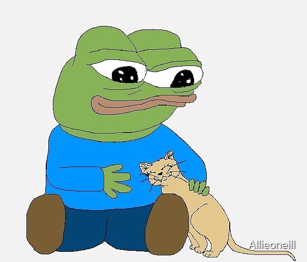 "Pepe and Cat" by Allieoneill | Redbubble