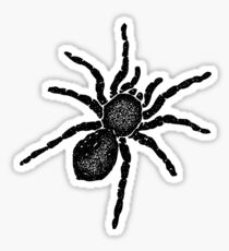 Spider: Stickers | Redbubble