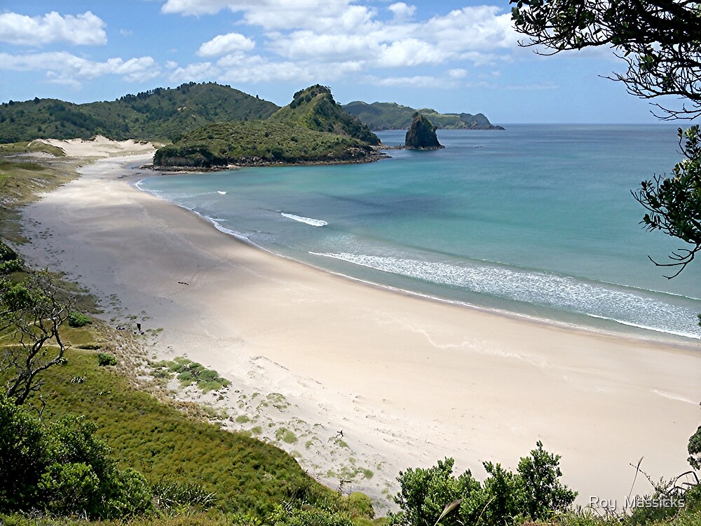 "Awana Beach..........Great Barrier Island..........!!" by Roy Massicks ...
