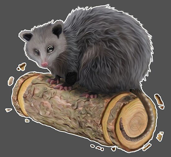 Fat Possum Logo