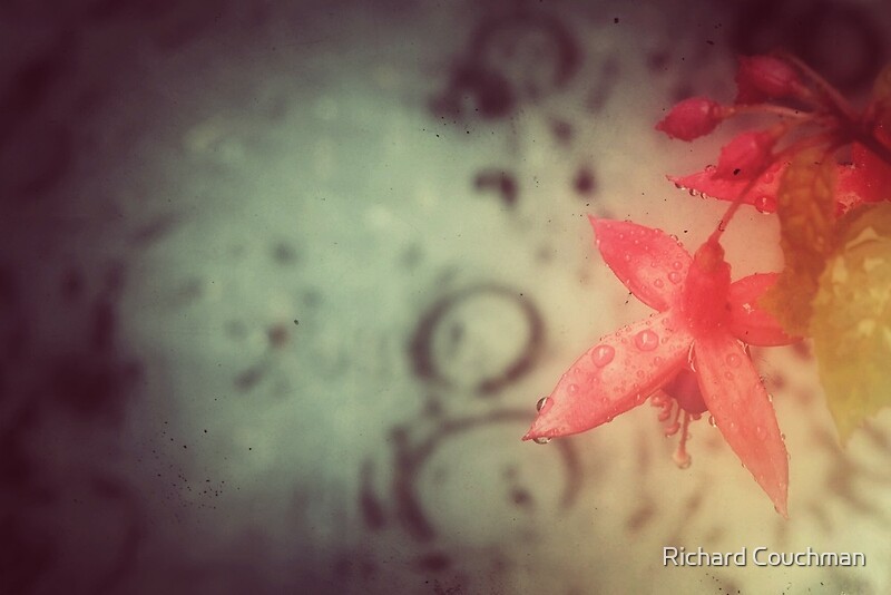 "" Still Pools Of Pluvio "" by Richard Couchman | Redbubble