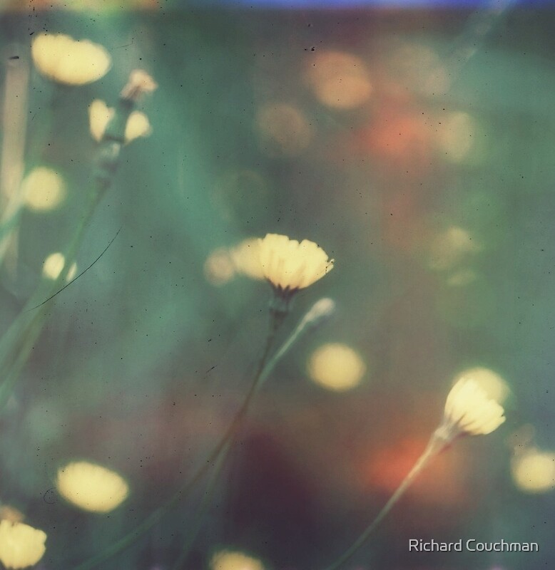 "" One Heart From Breaking "" by Richard Couchman | Redbubble
