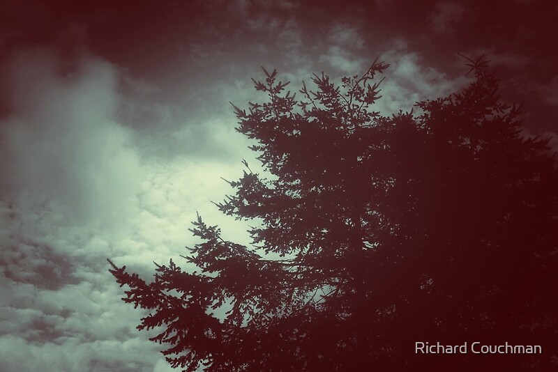 "" The Immesurable Sky "" by Richard Couchman | Redbubble