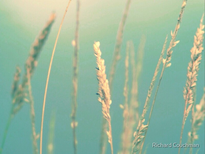 "" Whispers In The Grass "" by Richard Couchman | Redbubble