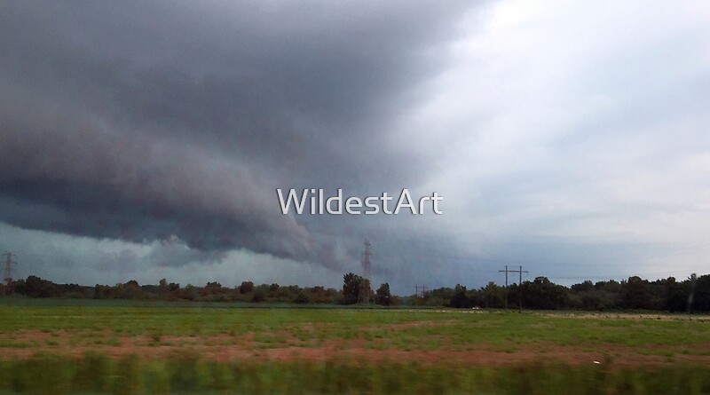 "Running Before The Storm" by WildestArt | Redbubble