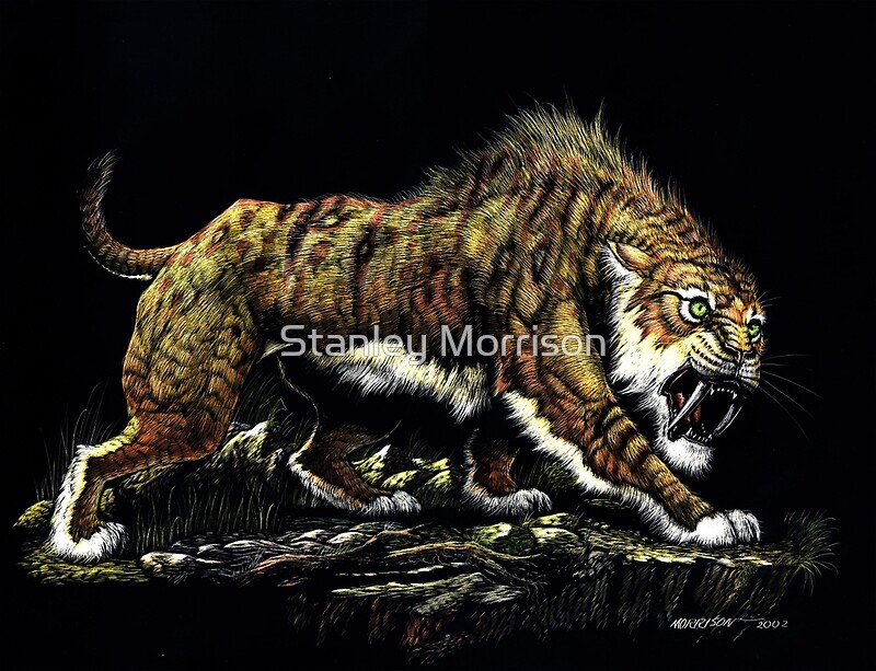 "Sabertooth" by Stanley Morrison | Redbubble